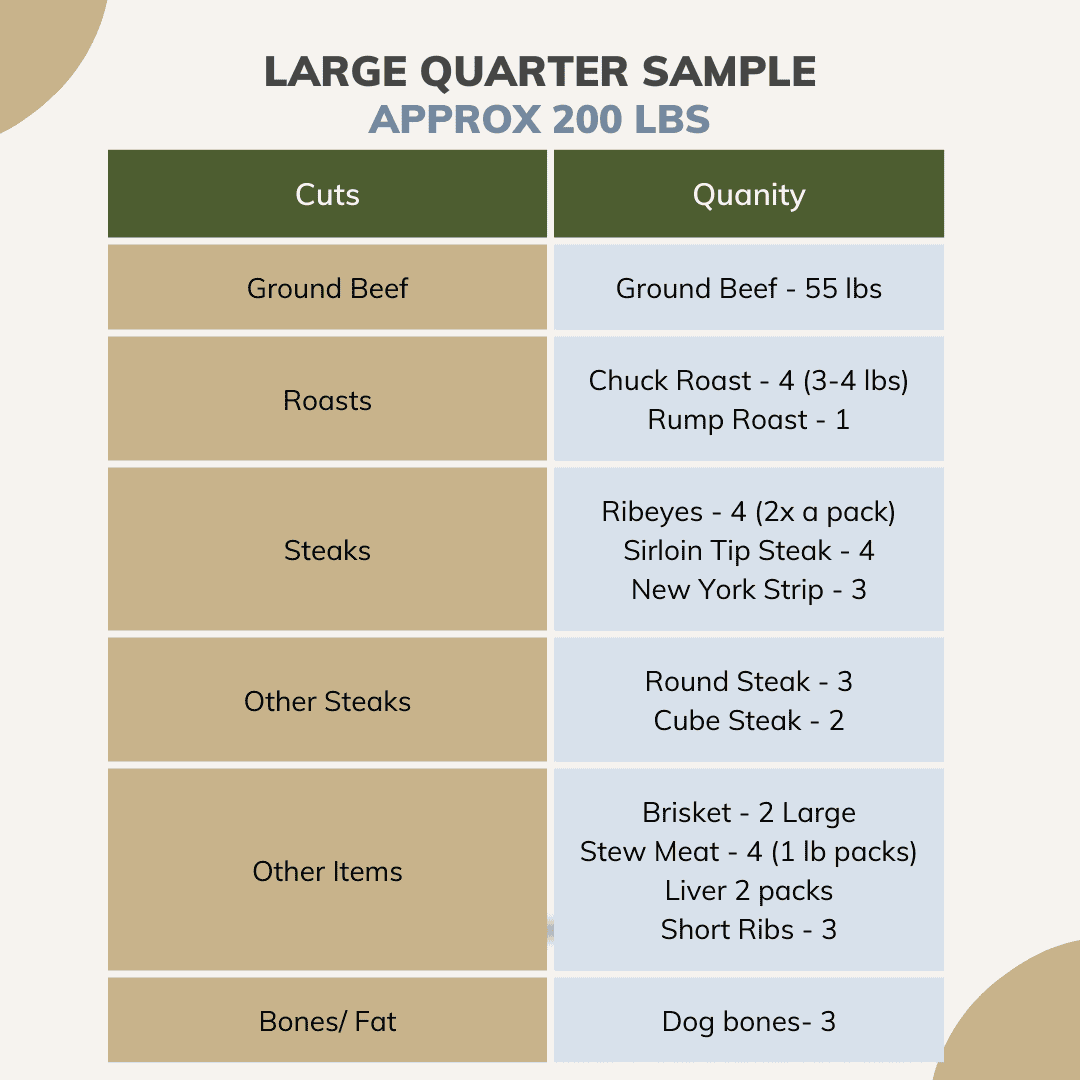 Ultimate Guide to Buying Your First Quarter Cow